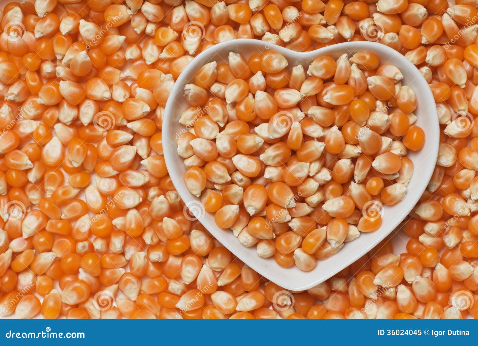 Corn Used To Make Popcorn But Uncooked And Upopped. Raw Ingredient Used ...