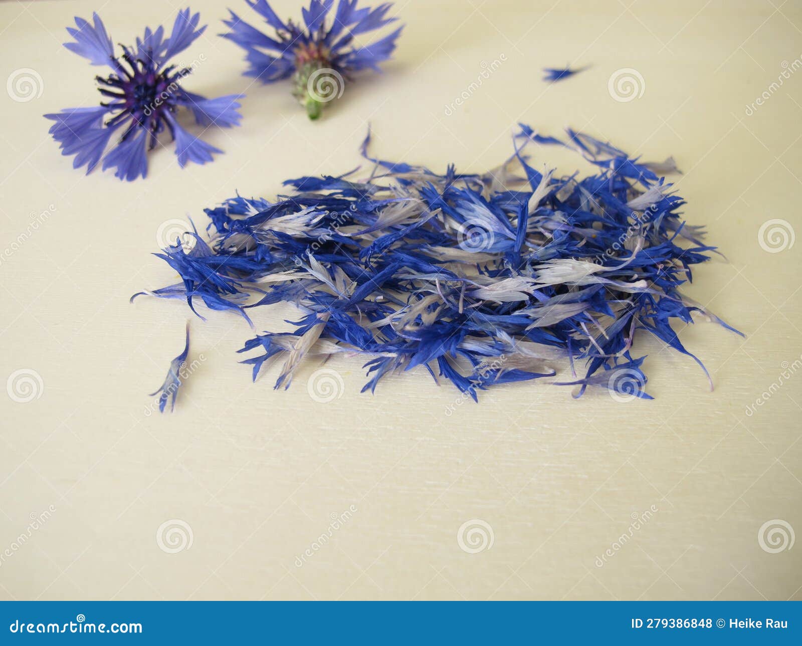 Dried Cornflower Flower Petals Stock Photo - Image of edible, weed ...