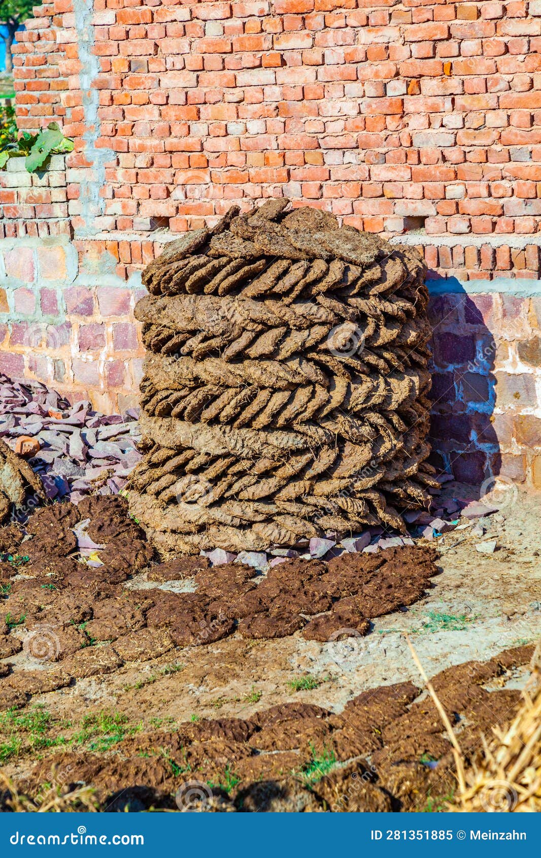 Dried Cow Dung As Burning Material in India Stock Image - Image of ...