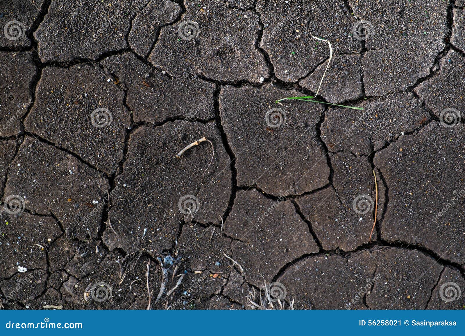 Crack Of Soil Stock Photo | CartoonDealer.com #51196242