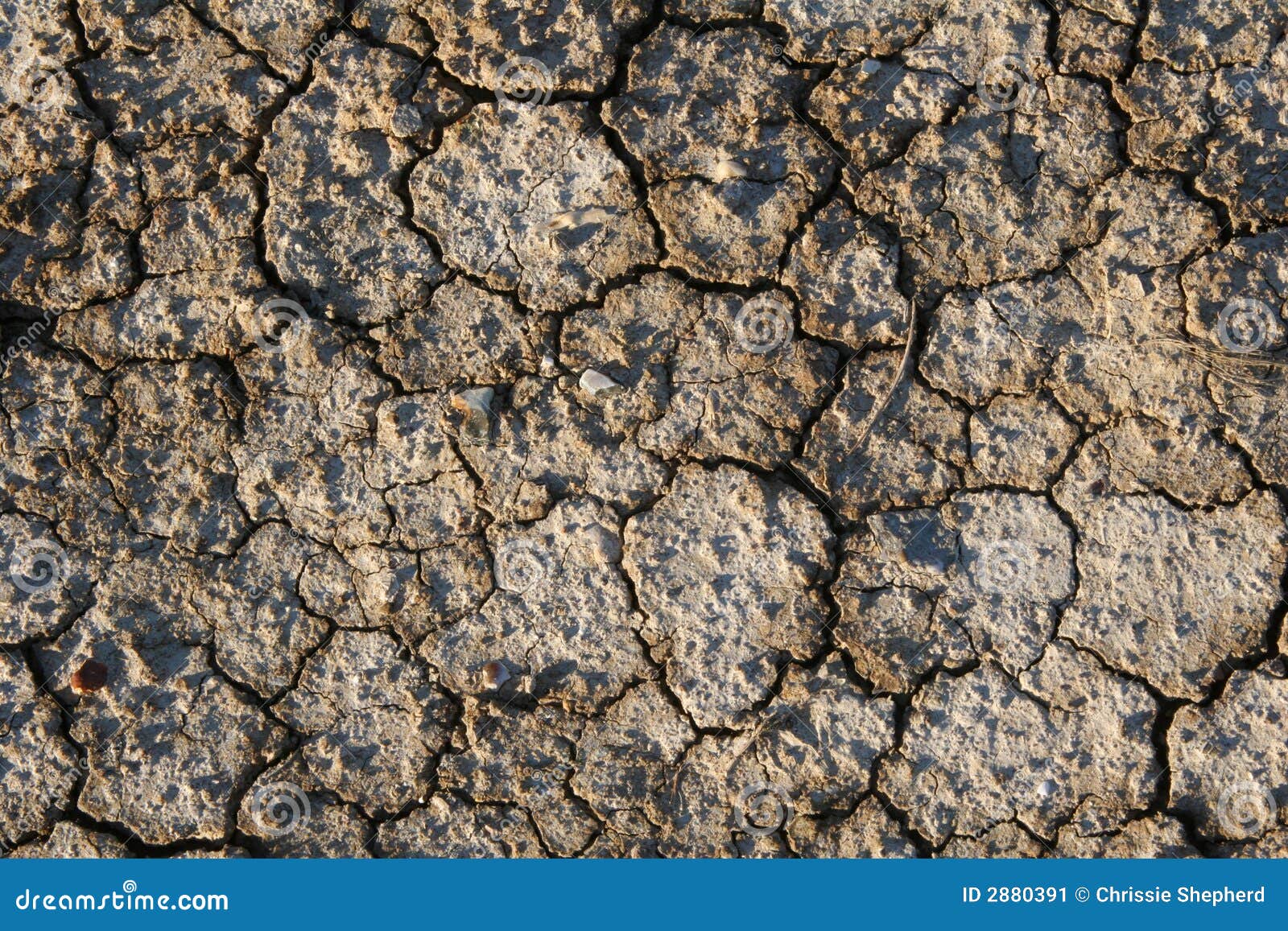 Dried Cracked Earth Picture. Image: 2880391