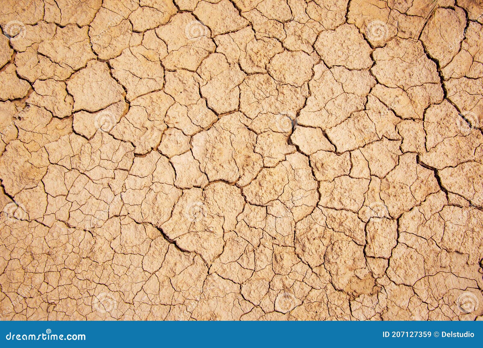 Desert Texture Stock Photography | CartoonDealer.com #43926530