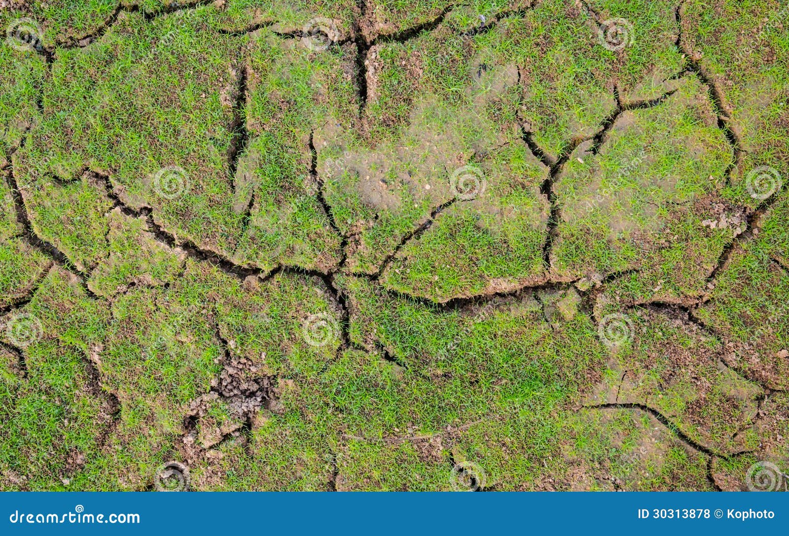 Dried cracked mud stock photo. Image of closeup, natural - 30313878