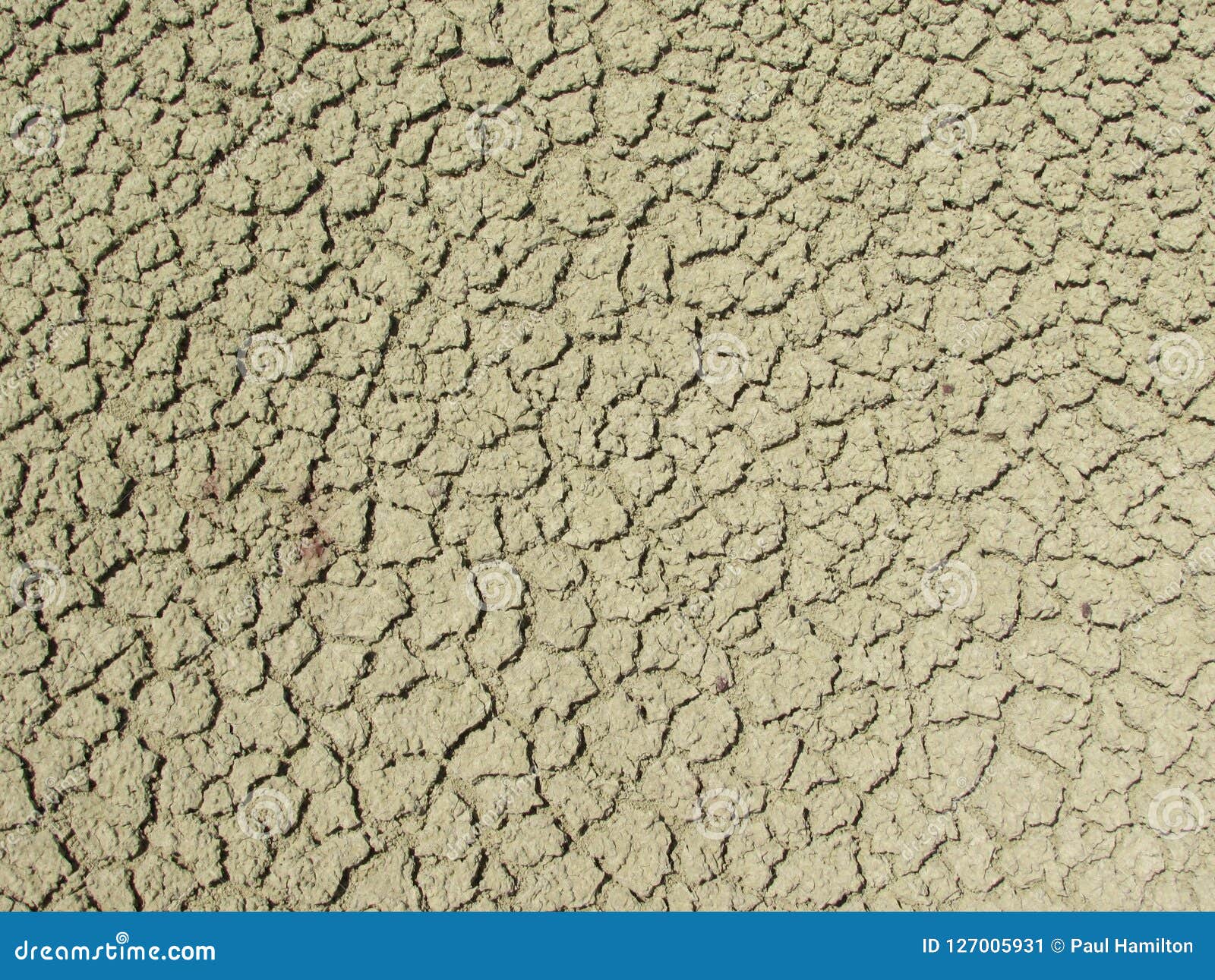 Dried and Cracked Mud Surface Stock Image - Image of backdrop ...