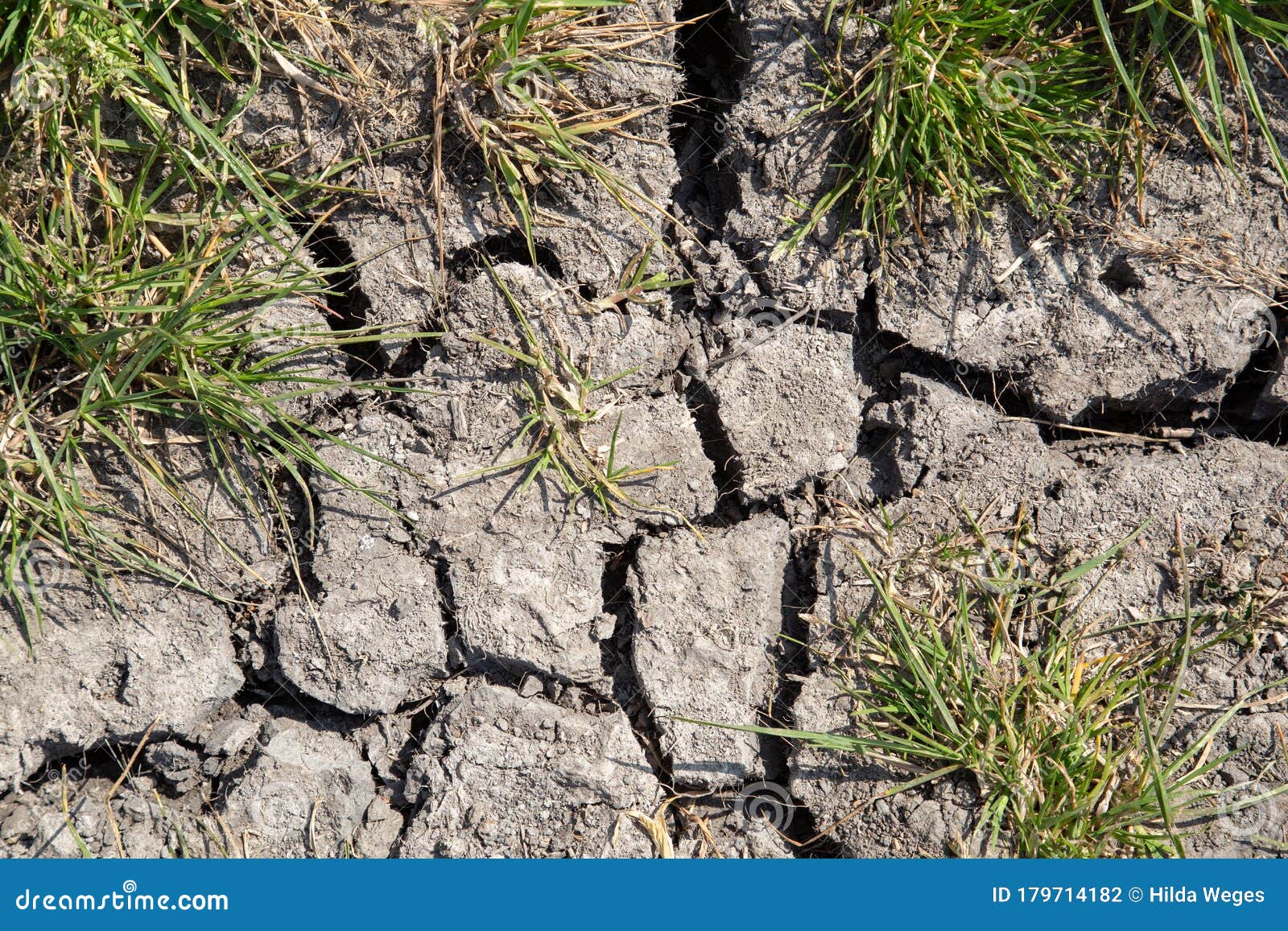 Dampened soil with grass stock photo. Image of global - 179714182