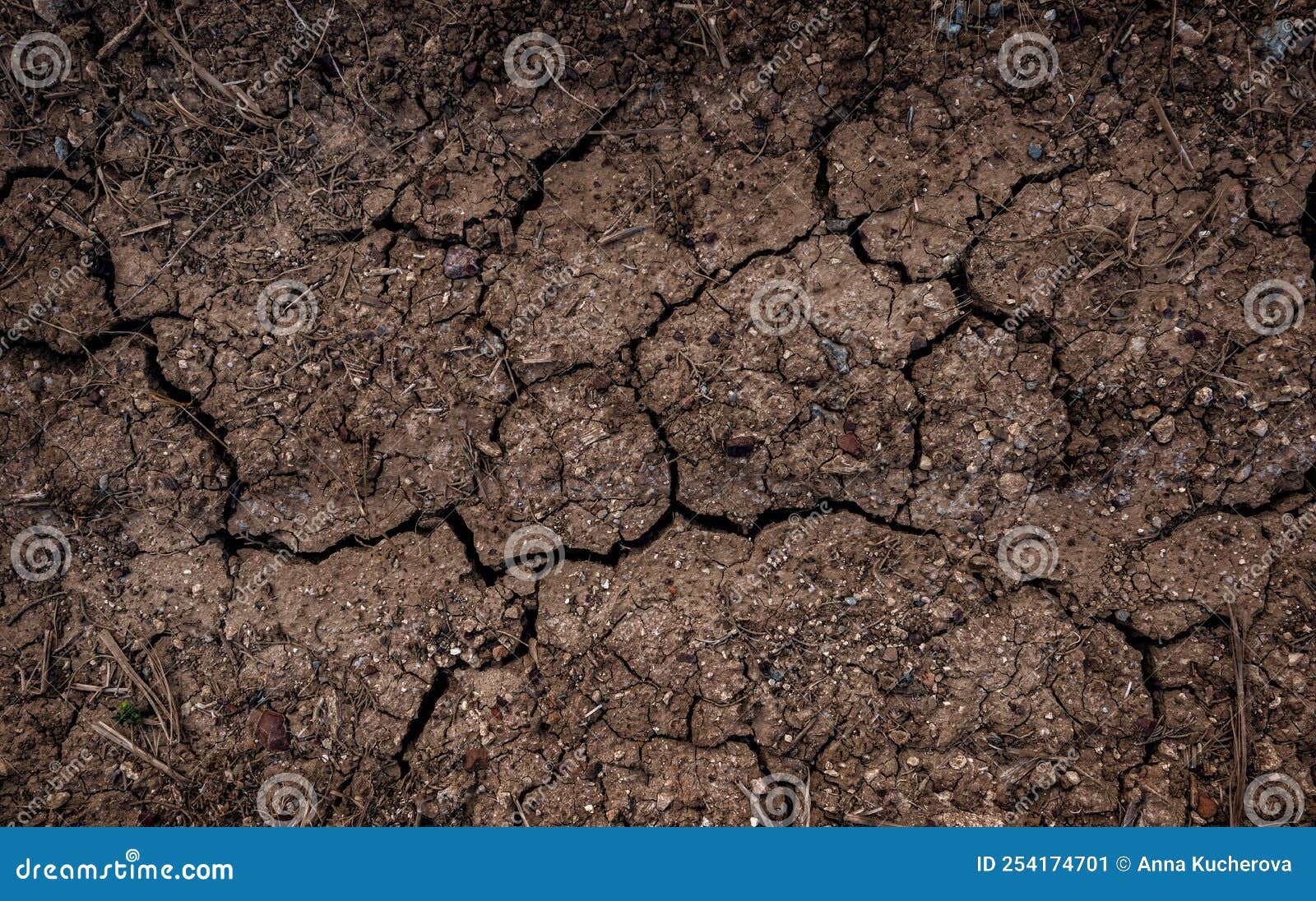 Dried Cracked Surface of Agricultural Field, View from Above Stock ...