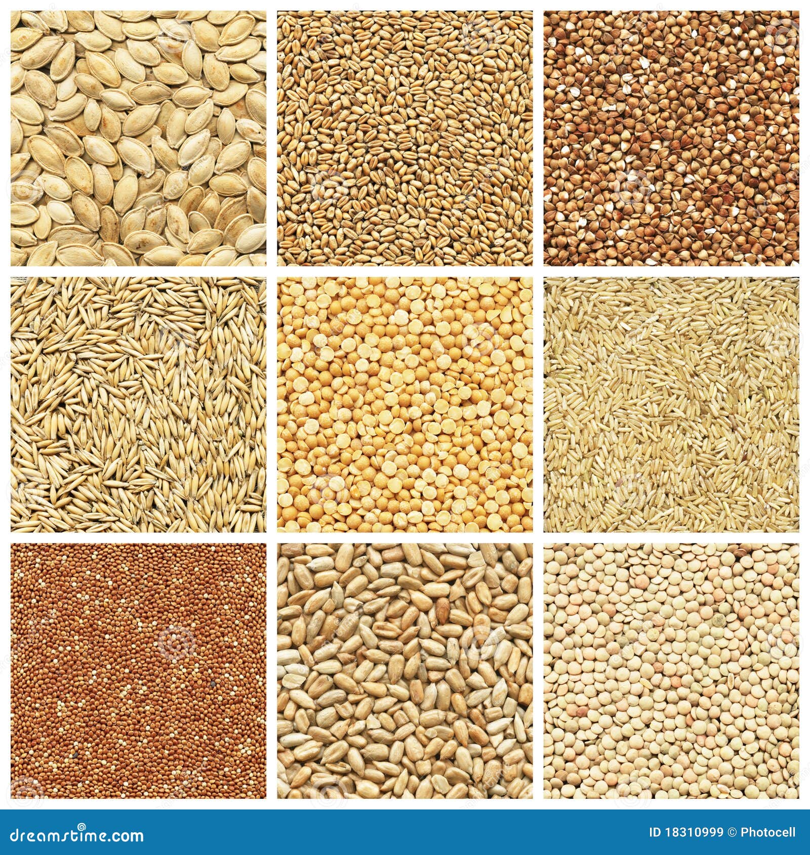 Dried crop collection stock image. Image of nutrition - 18310999