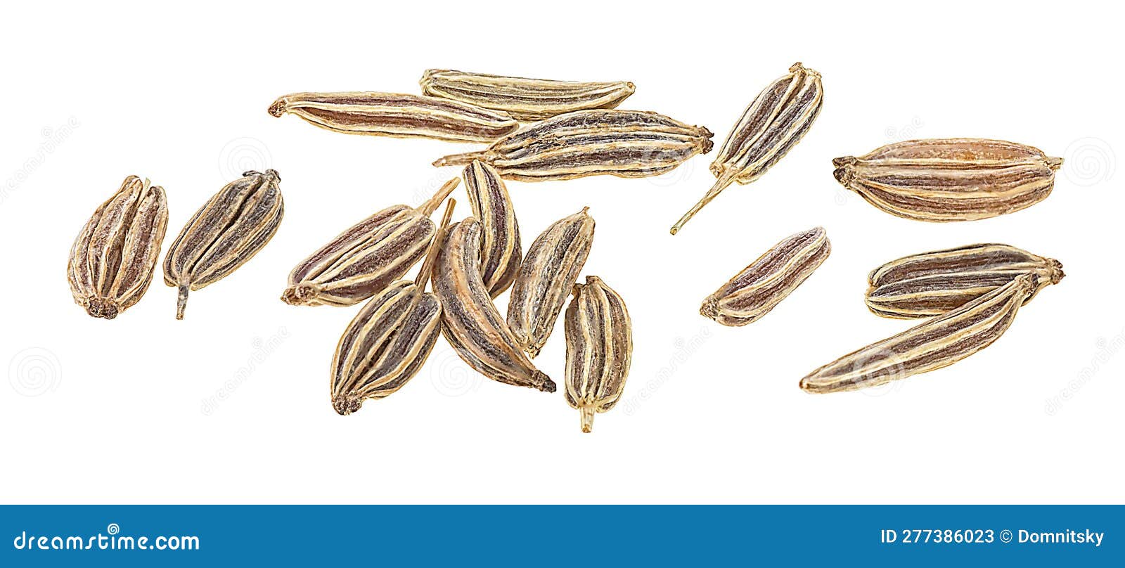 Dried Cumin Seeds Isolated on White Background, Macro. Spice Cumin ...