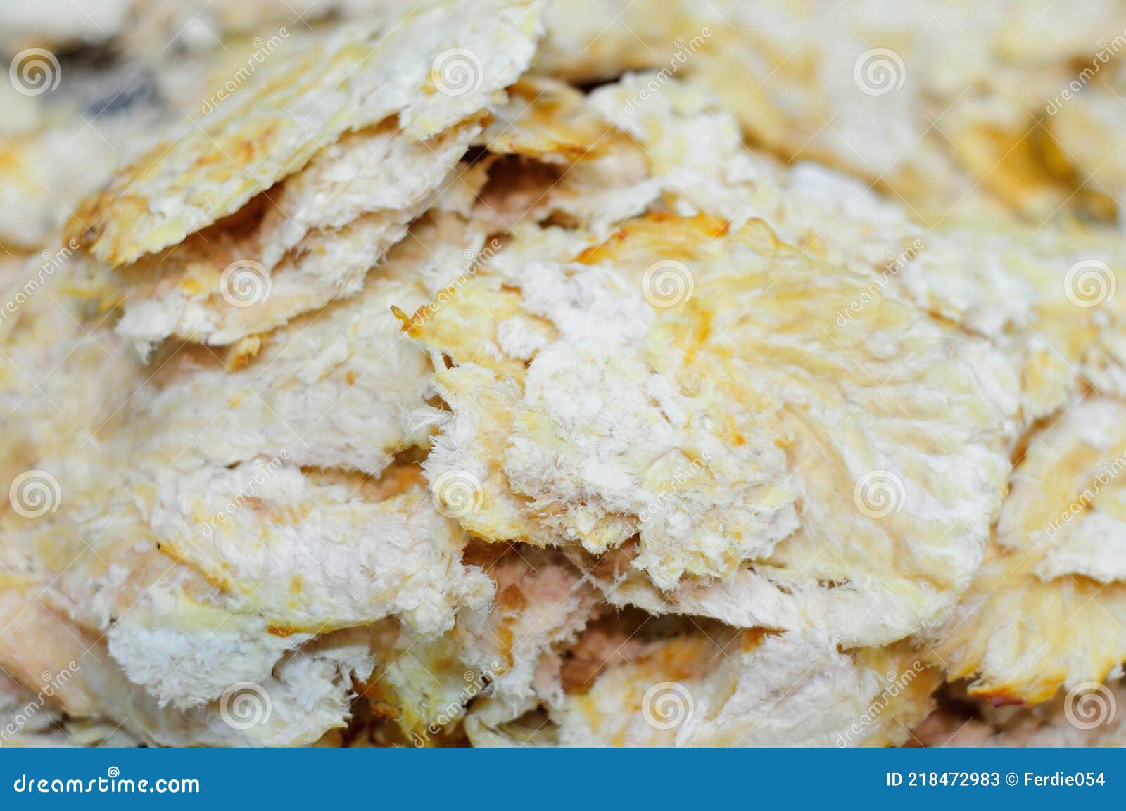 Chewy Dried Cuttlefish stock image. Image of chewy, traditional - 218472983