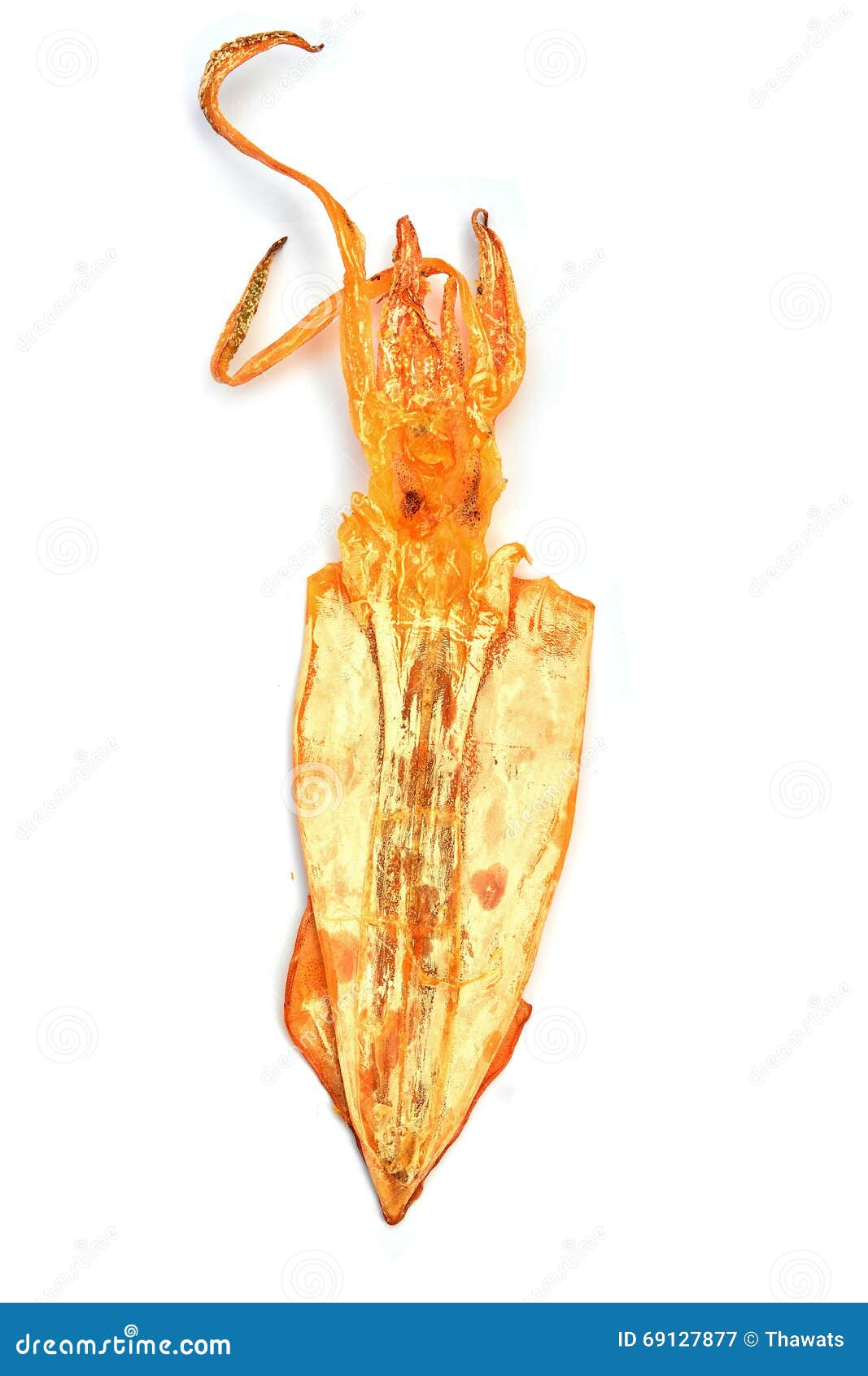 Dried Cuttlefish isolated stock image. Image of protein - 69127877