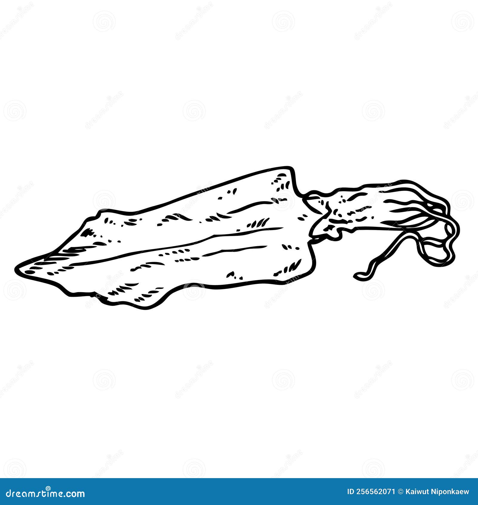 Dried cuttlefish sketch stock vector. Illustration of delicious - 256562071