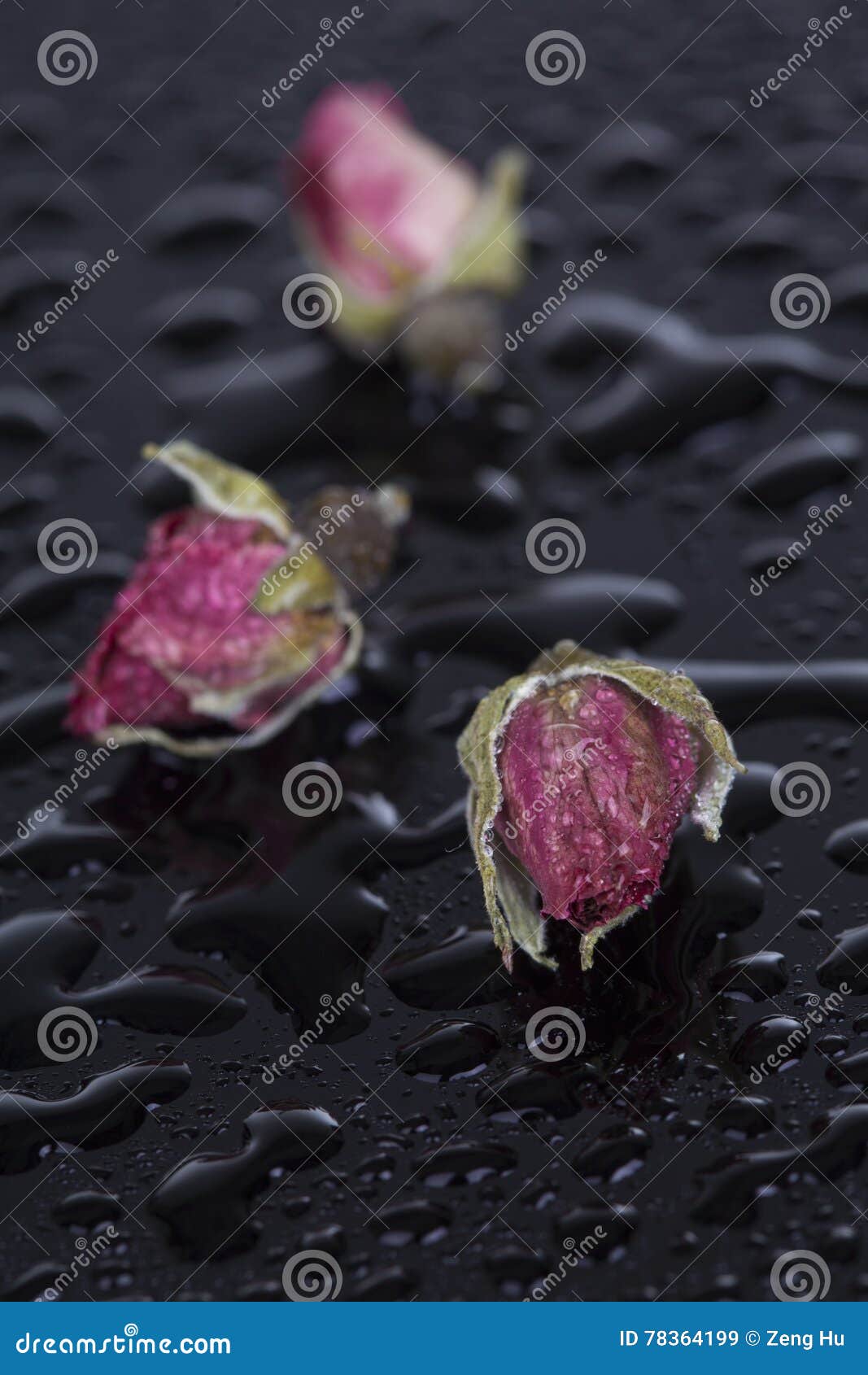 Dried damask rose. stock image. Image of aroma, closeup - 78364199