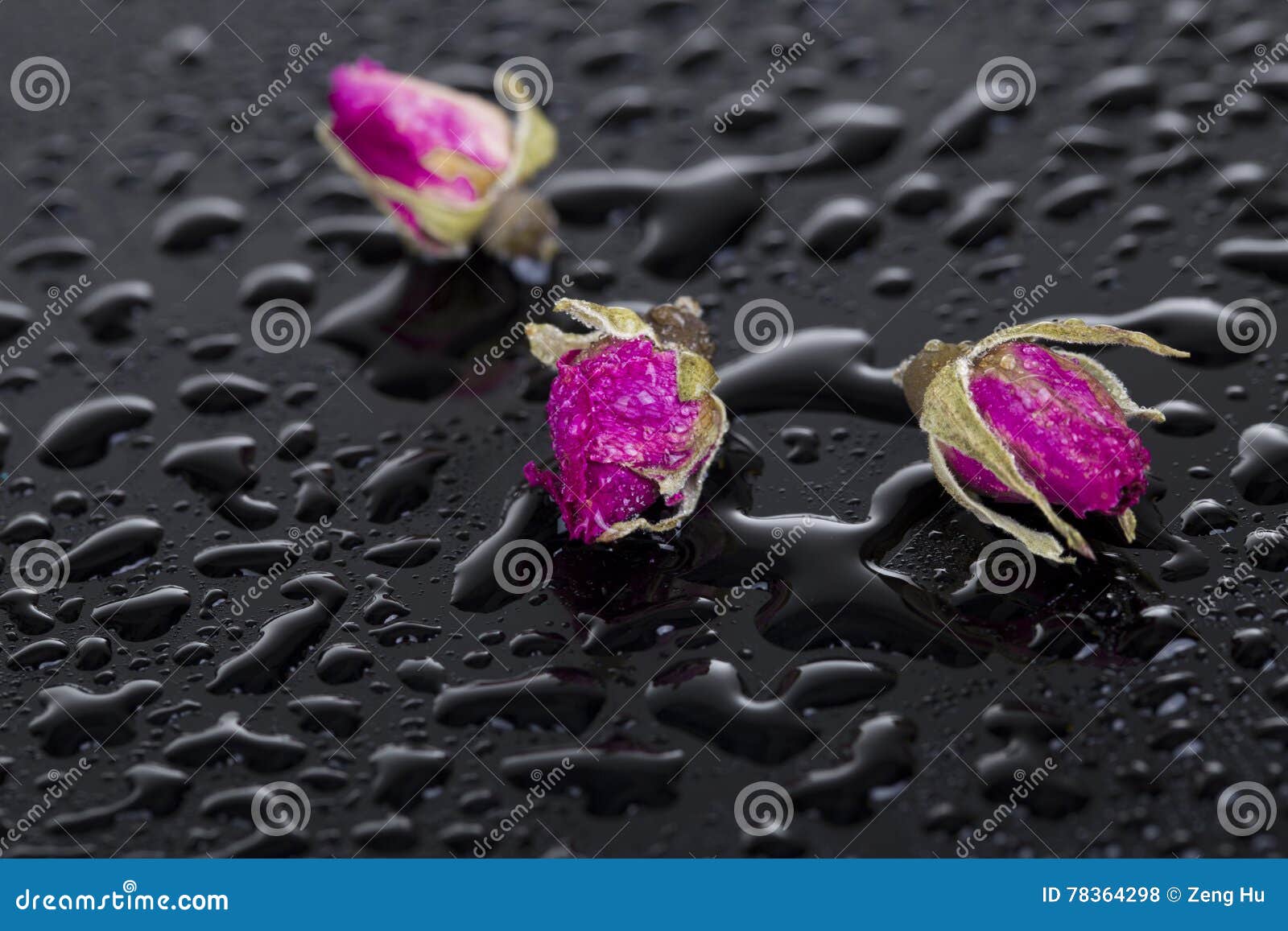 Dried damask rose. stock photo. Image of bathroom, black - 78364298