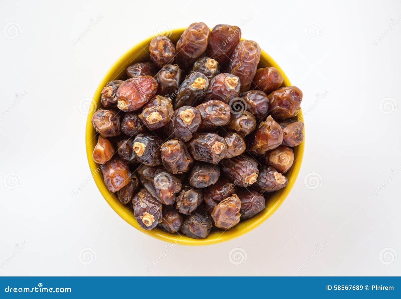 Dried date palm stock image. Image of brown, drupe, benedict - 58567689