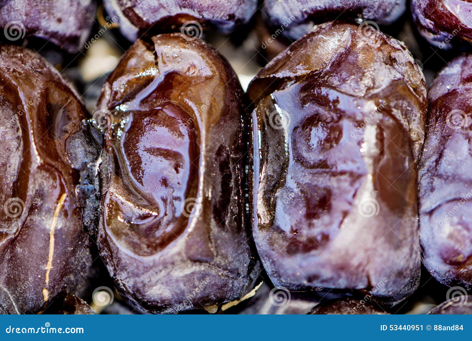 Dried dates stock image. Image of nutrition, organic - 53440951
