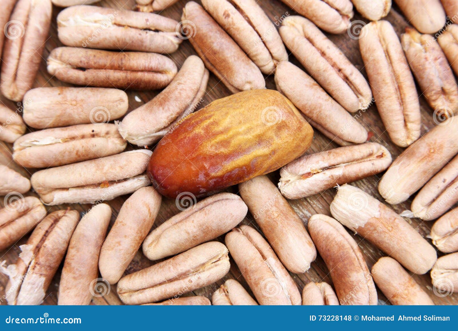 Dried Dates with Dates Stone Stock Photo - Image of ripe, holidays ...