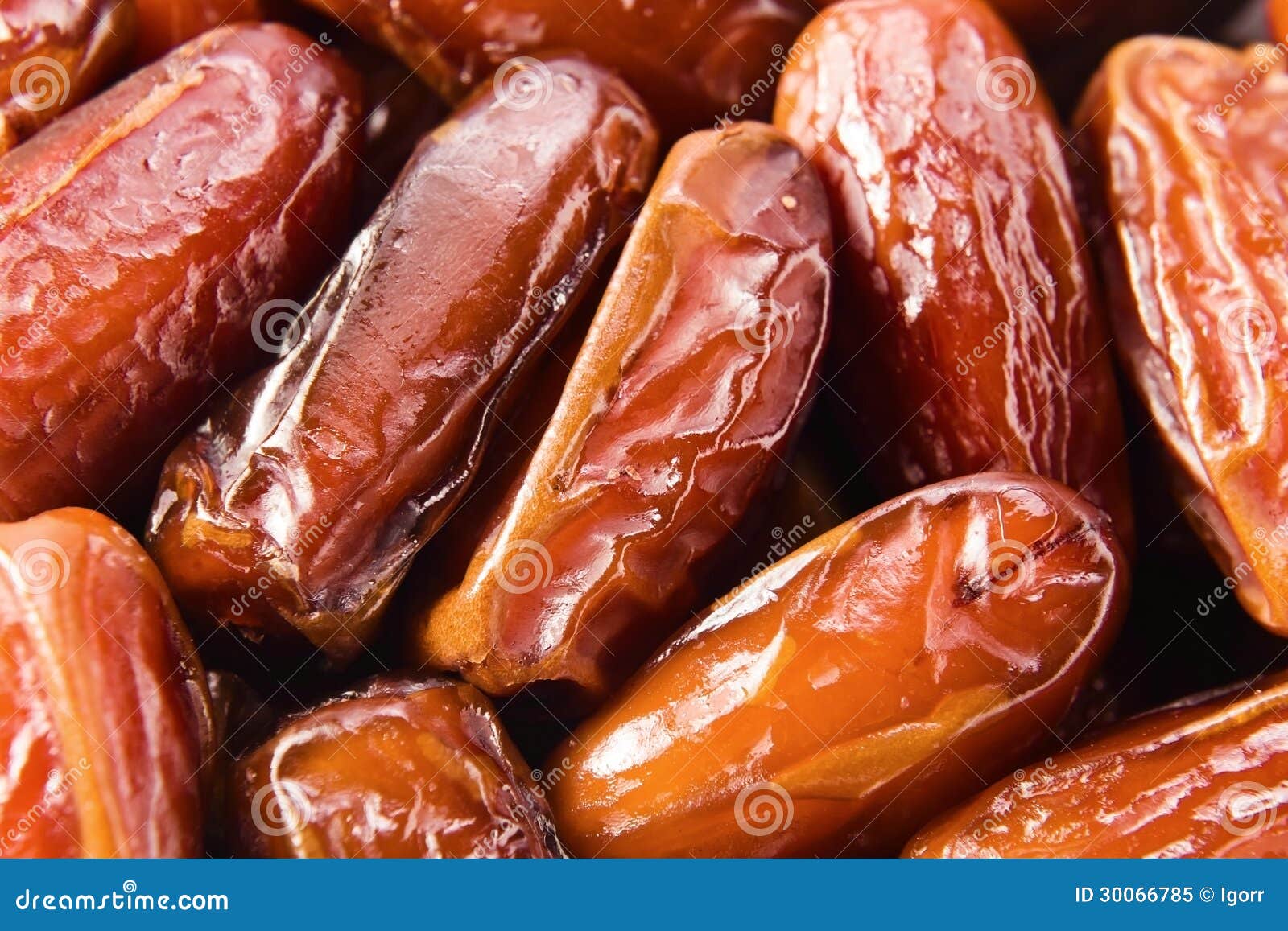 Dried dates stock image. Image of date, delicious, exotic - 30066785