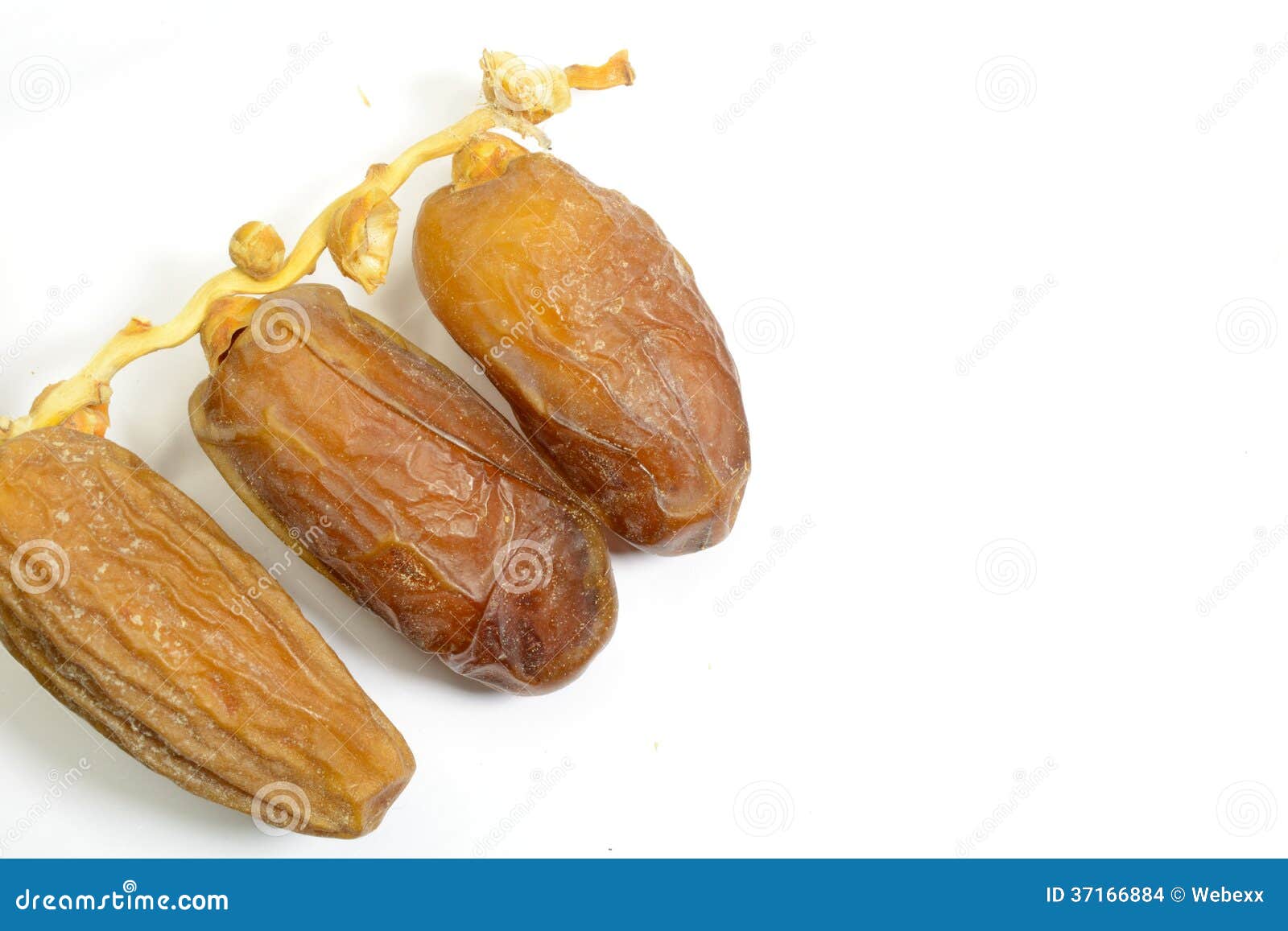 Dried dates stock photo. Image of sweet, three, health - 37166884