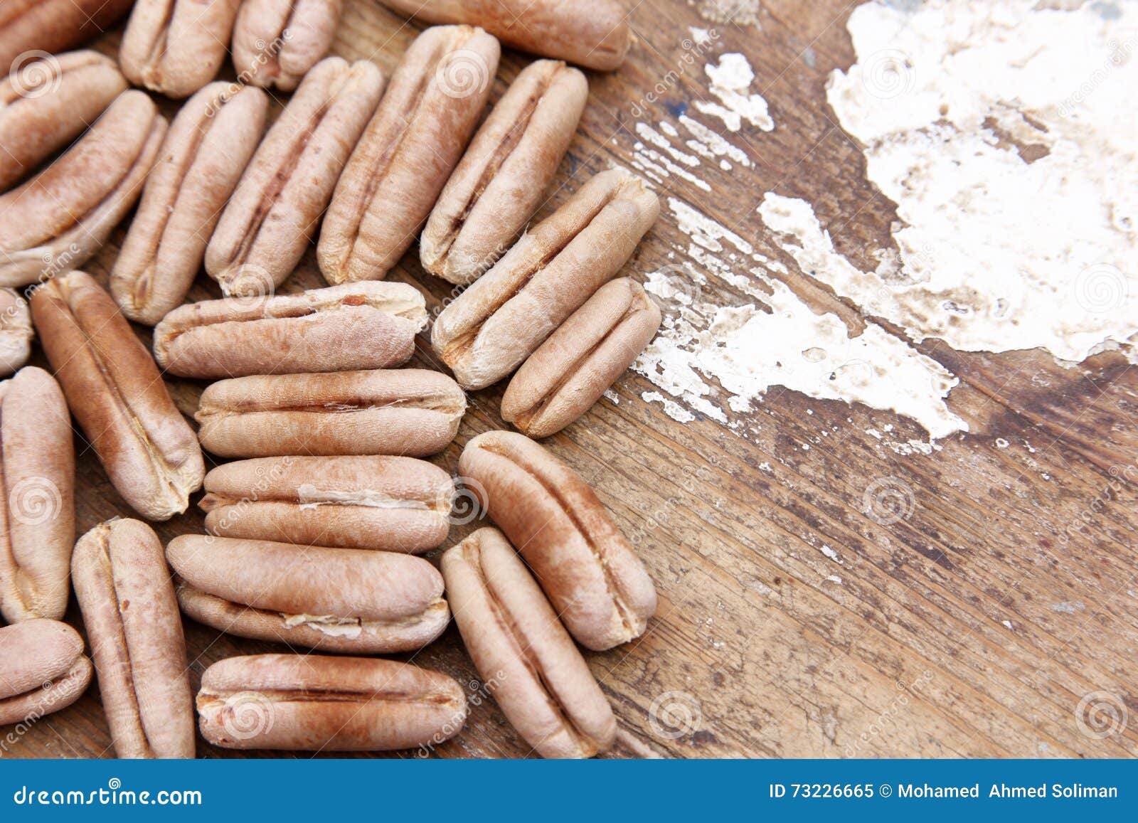 Dried dates stone stock image. Image of dried, stone - 73226665