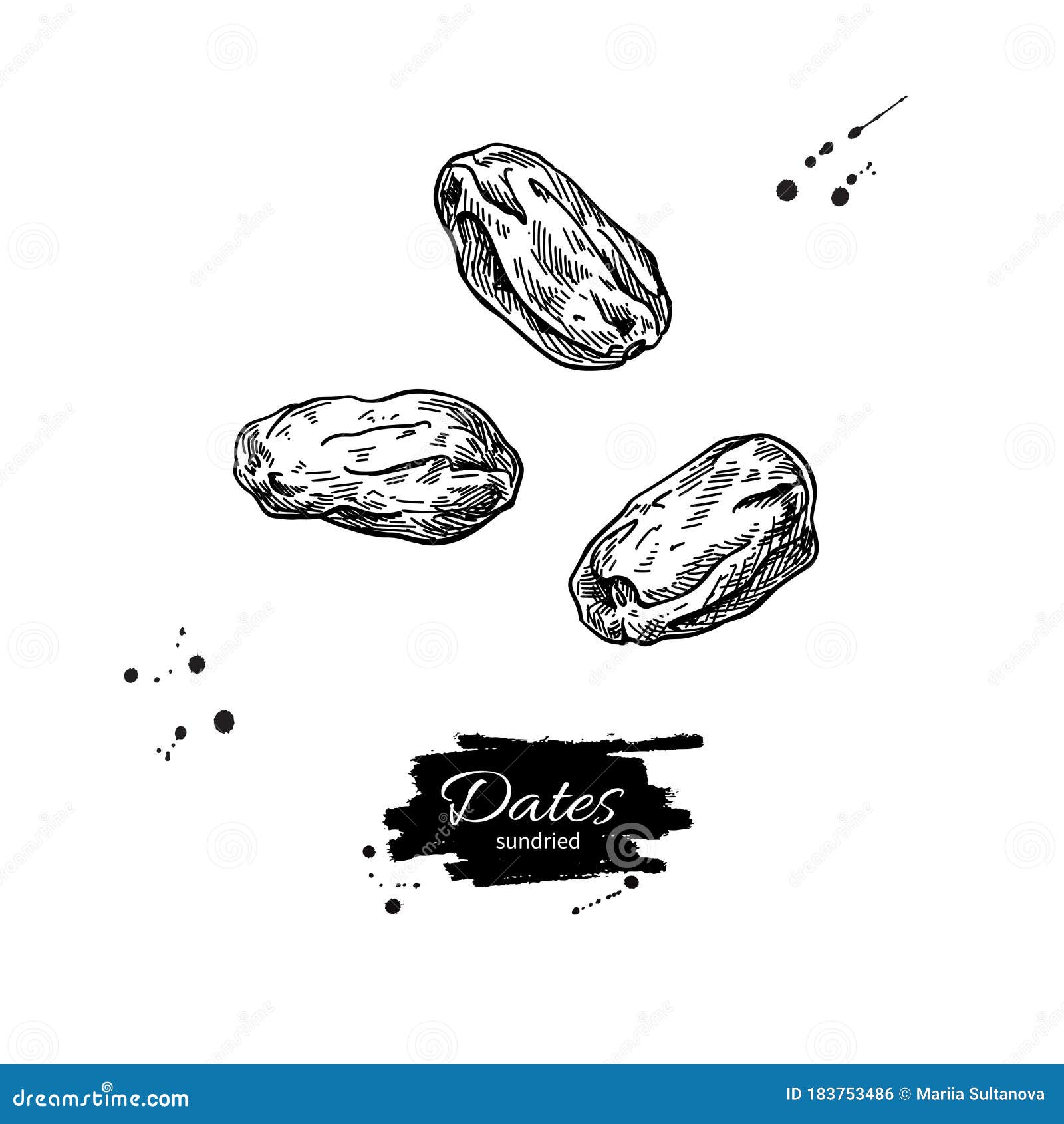 Dried Dates Vector Drawing. Hand Drawn Dehydrated Fruit Illustration ...