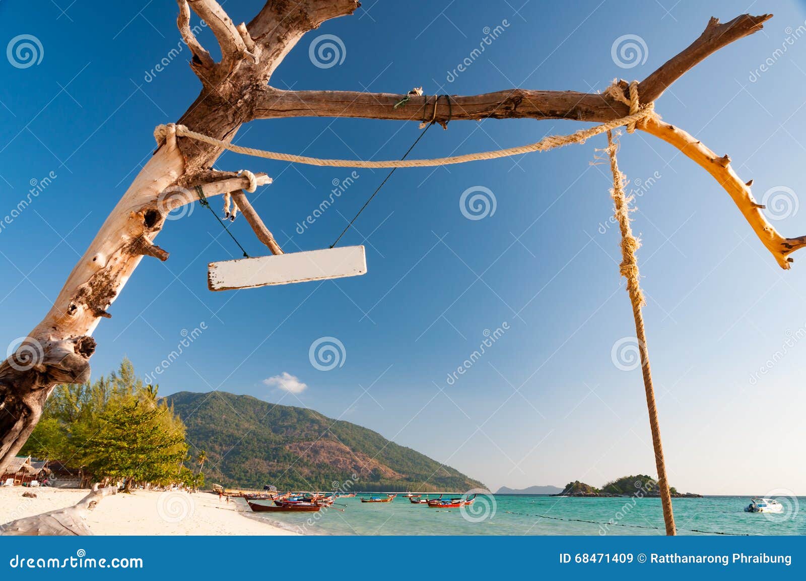 Dried Dead Tree with Rope and a Blank Signage in Front of a Beach and ...
