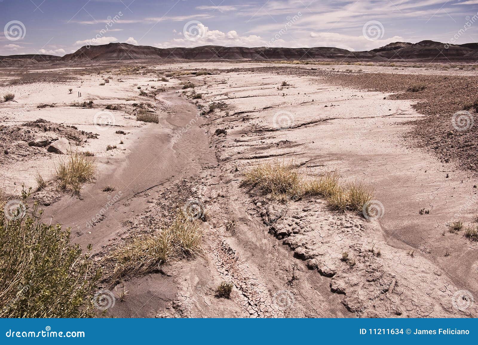 Dried Desert Stream stock photo. Image of national, desert - 11211634