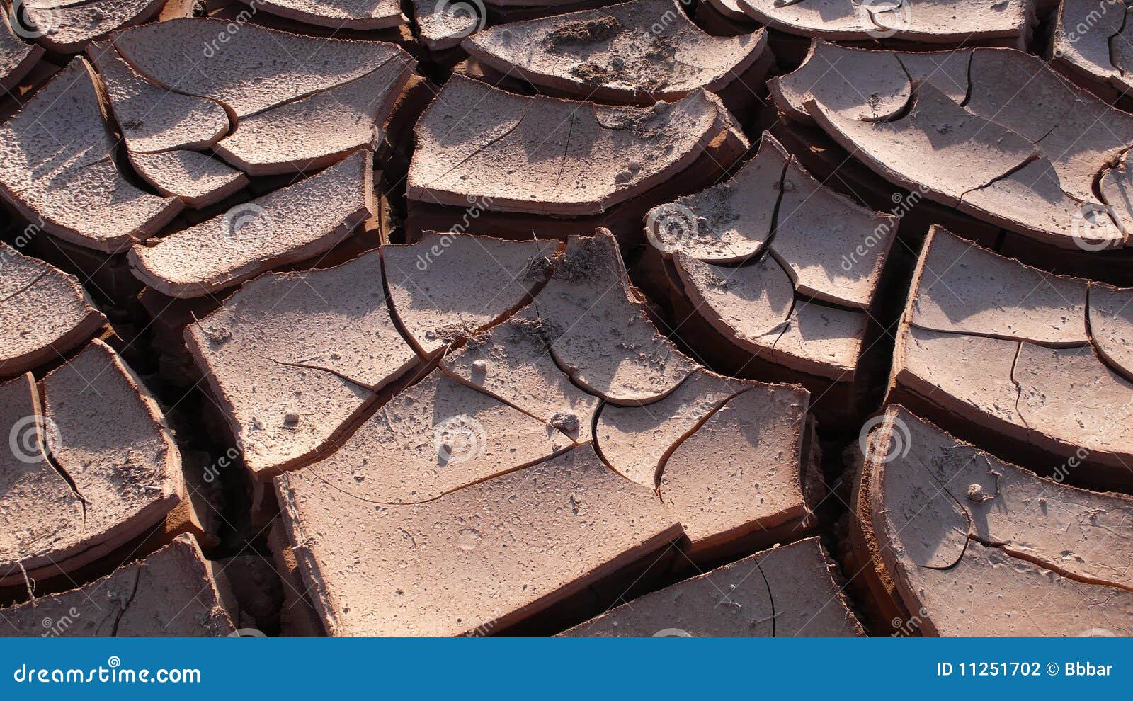 Dried earth stock photo. Image of earth, lost, dust, flora - 11251702