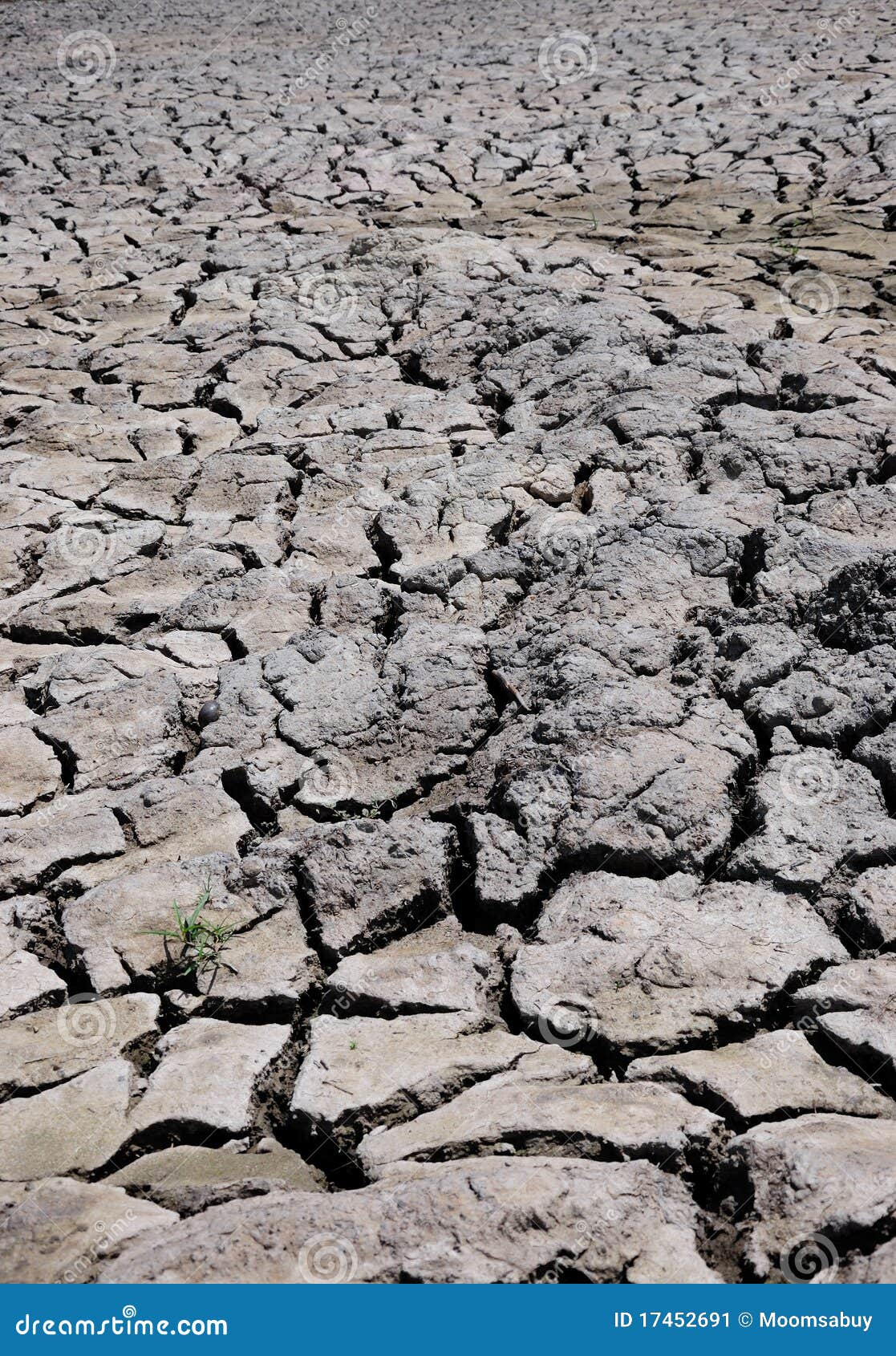 Dried Earth stock image. Image of nature, dirt, drought - 17452691