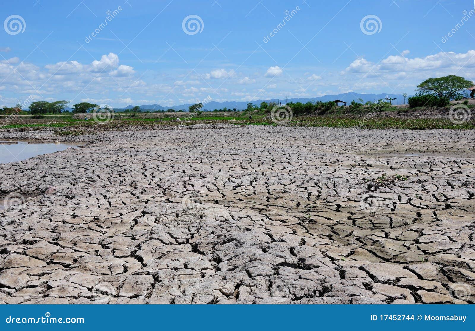 Dried Earth stock photo. Image of dried, heat, global - 17452744