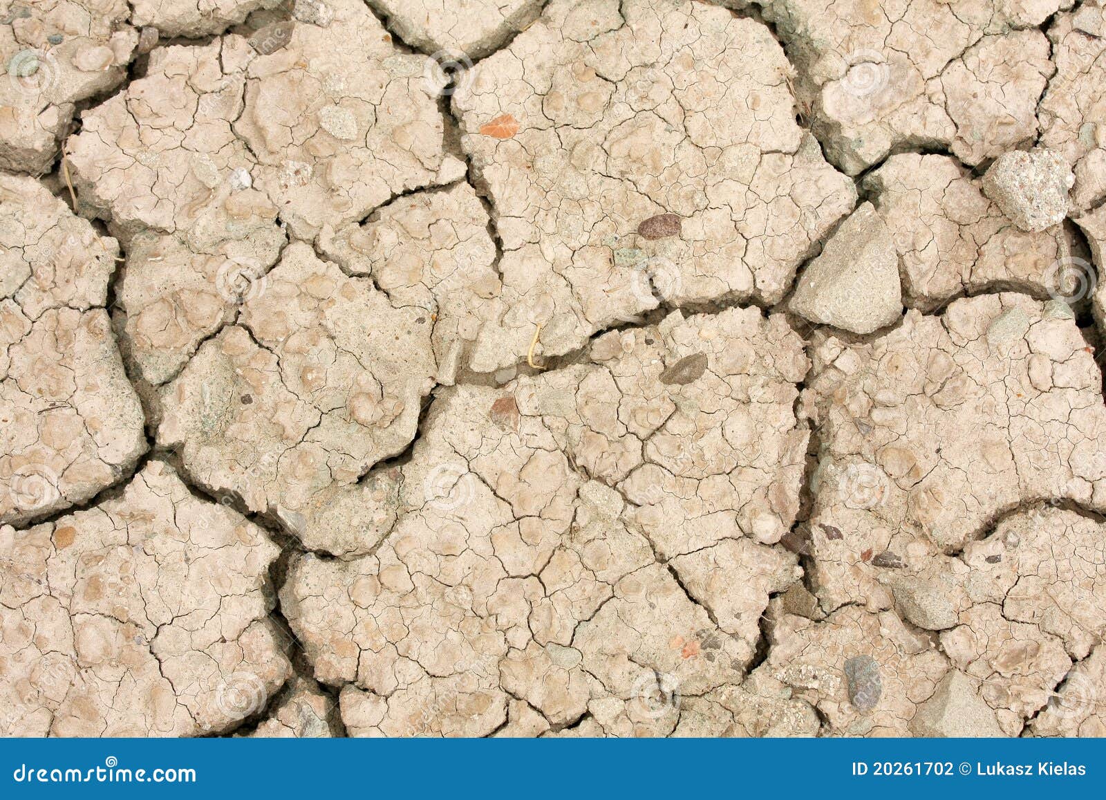 Dried earth stock photo. Image of nature, grass, lost - 20261702