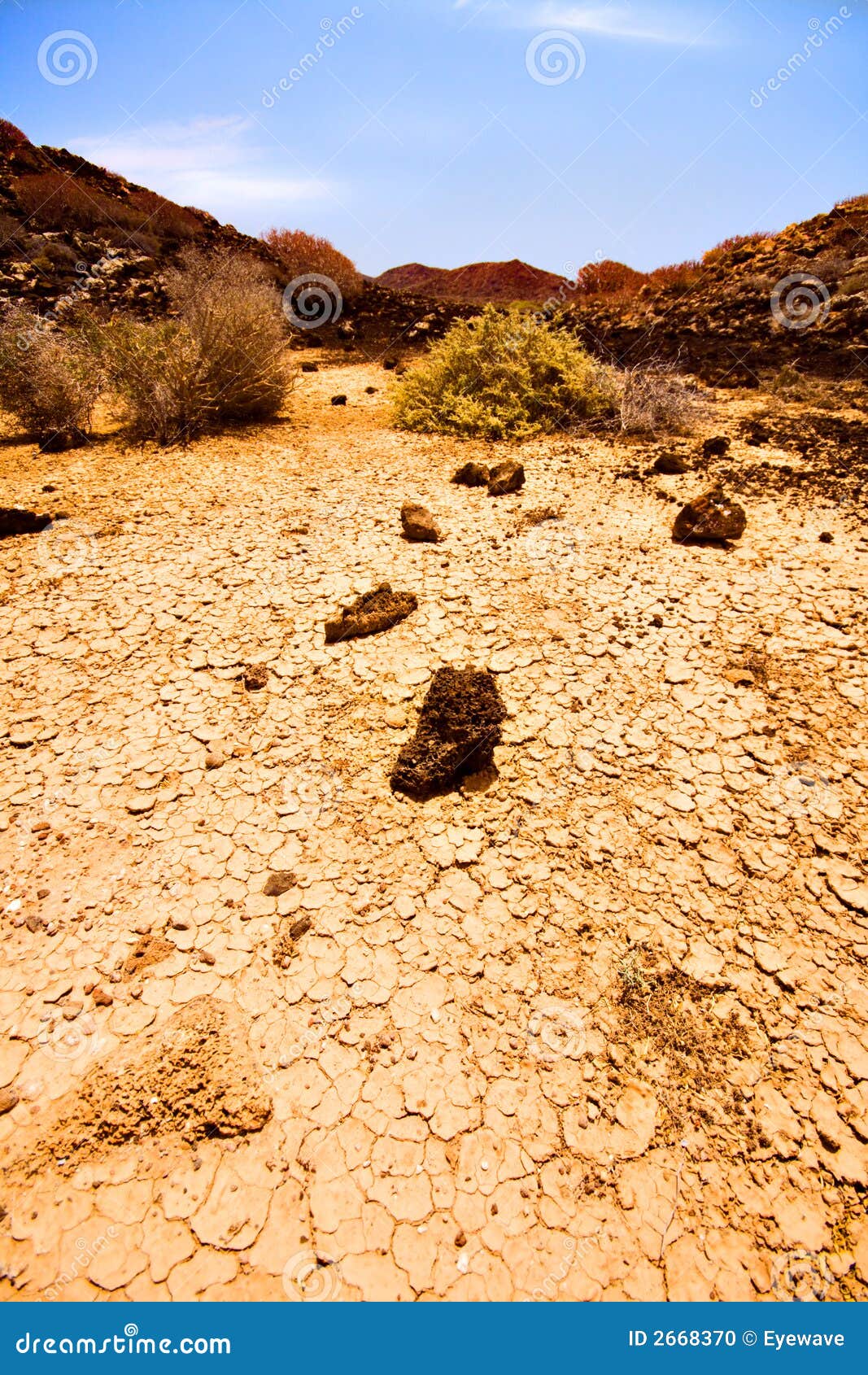Dried earth stock photo. Image of dried, cracks, heat - 2668370