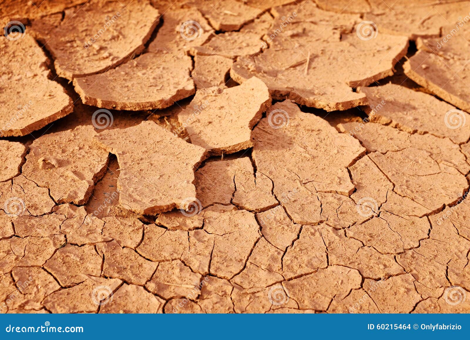 Dried earth stock photo. Image of dried, earth, desert - 60215464
