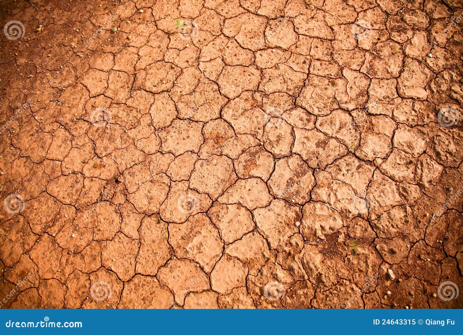 Dried Earth with Cracked Pattern Stock Image - Image of death, concept ...