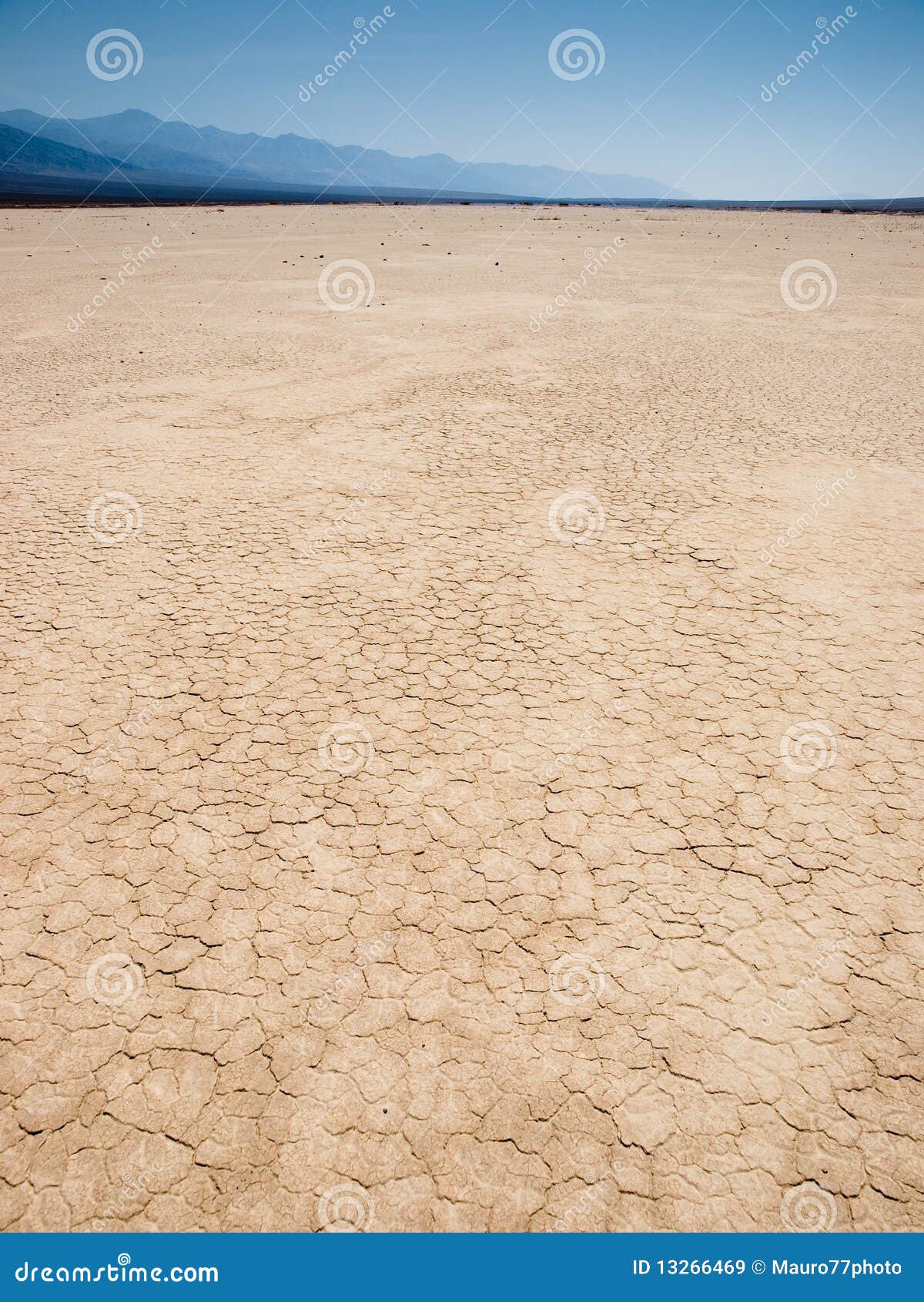 Dried earth in the desert stock image. Image of quietness - 13266469