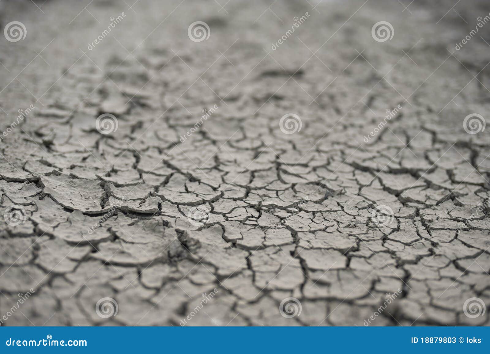 Dried Earth Macro stock image. Image of environment, ground - 18879803