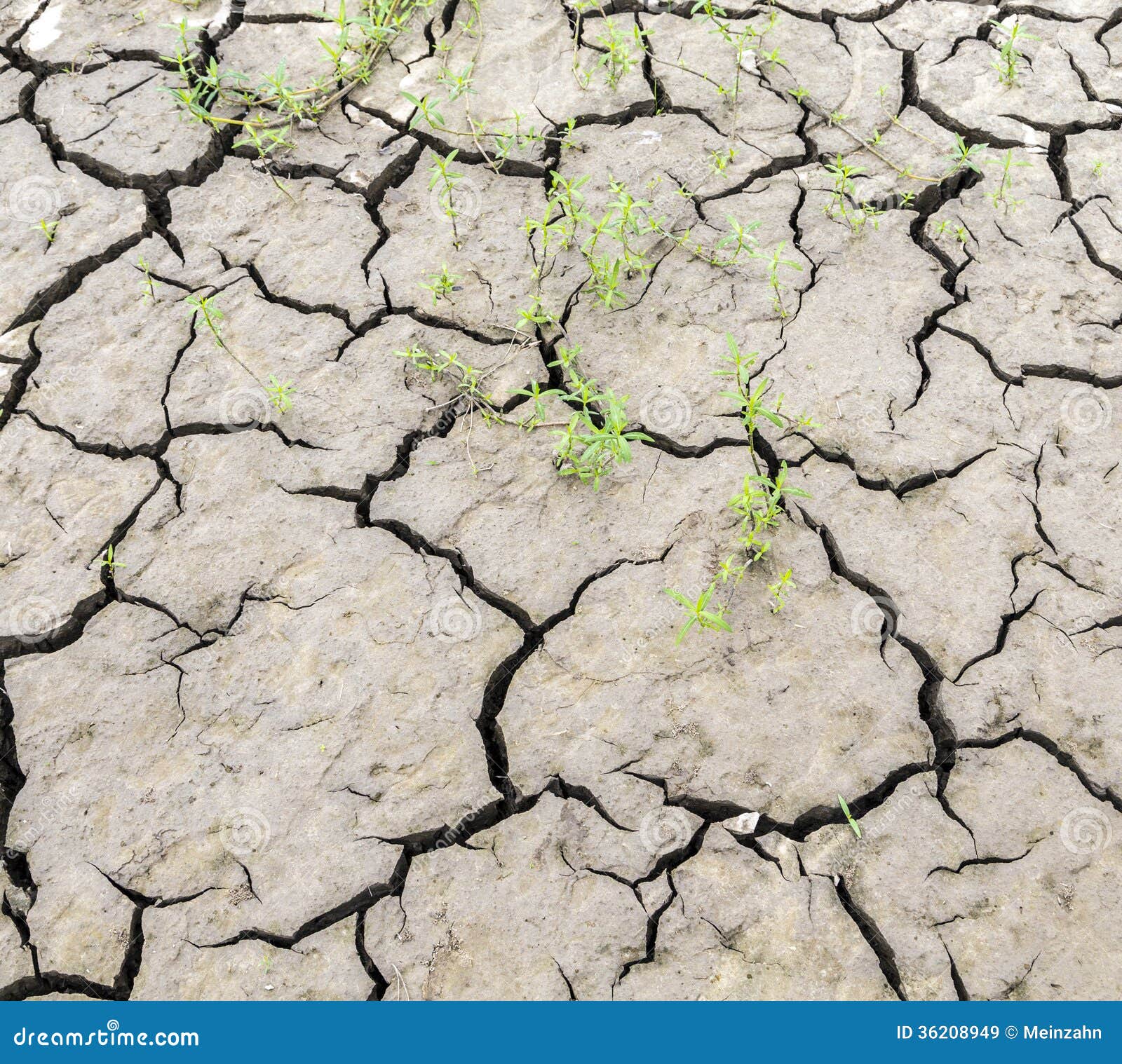 Dried Earth At The River Royalty-Free Stock Photography | CartoonDealer ...