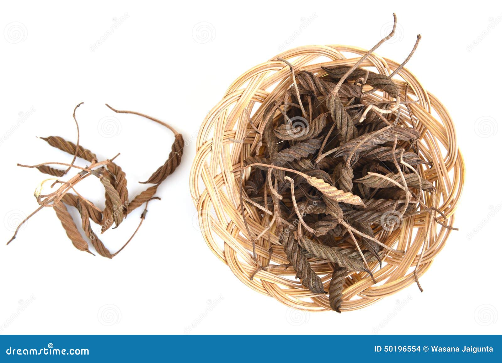 Indian Tree Land Gober Stock Photography | CartoonDealer.com #192599588