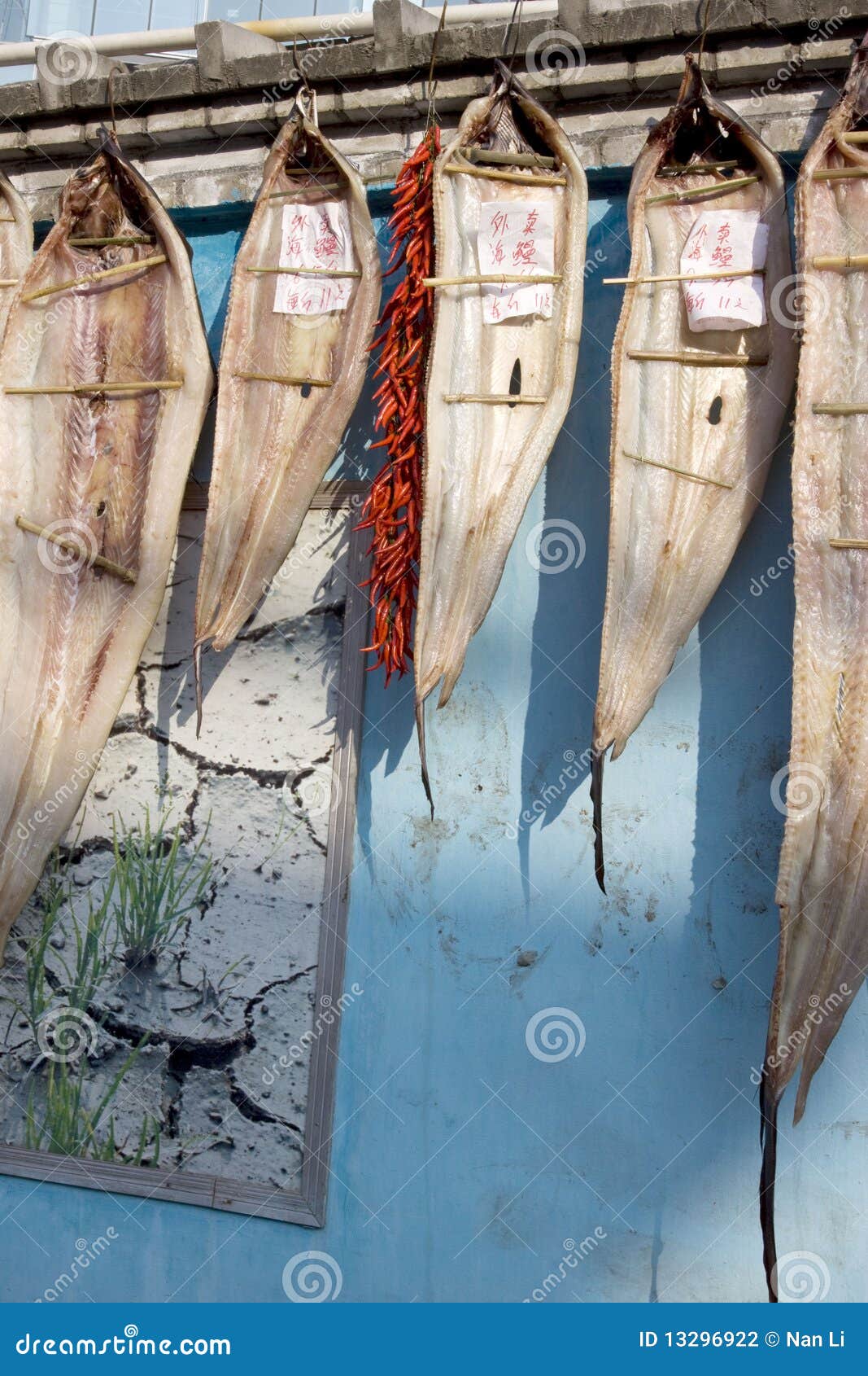 Dried eel2 stock photo. Image of outdoor, food, preserved - 13296922