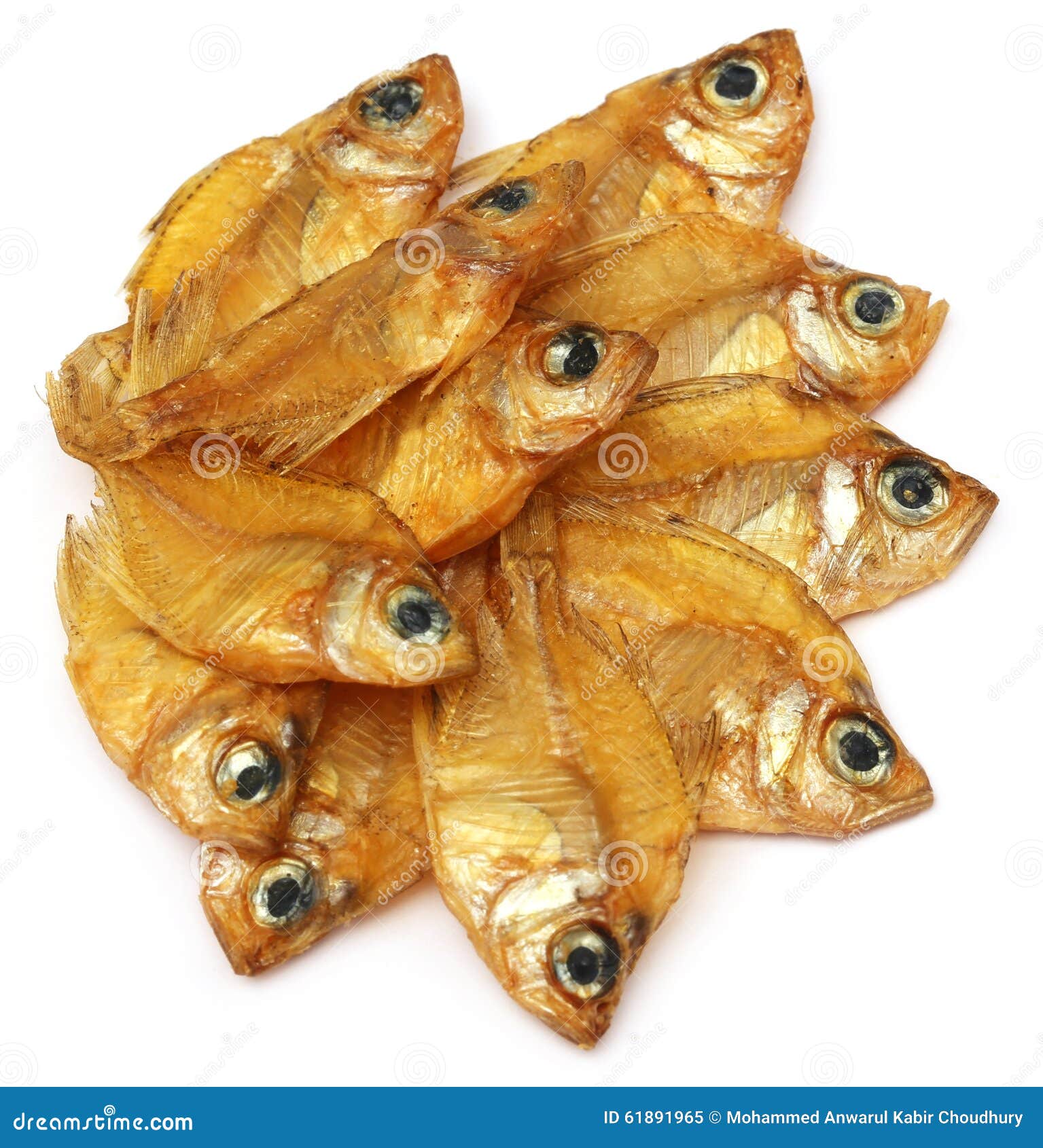 Dried Elongate Glassy Perchlet Stock Image - Image of protein, dried ...