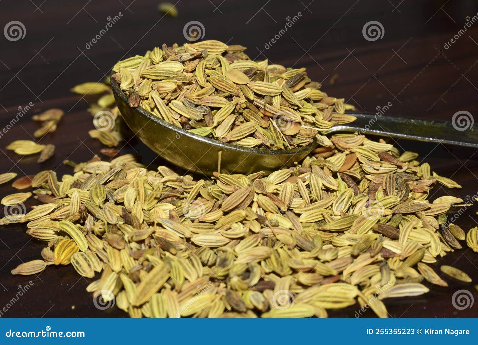 Dried fennel seed stock image. Image of green, flavor - 255355223