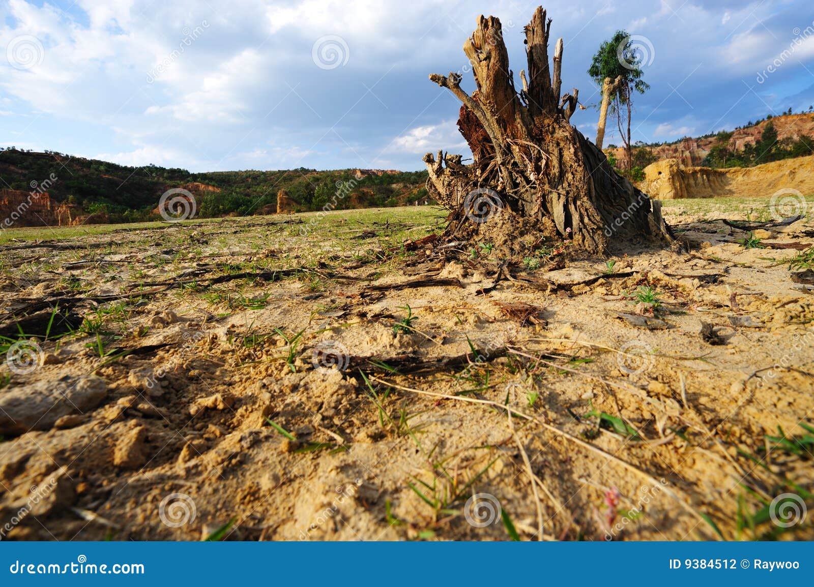 Dried field stock photo. Image of golden, environment - 9384512