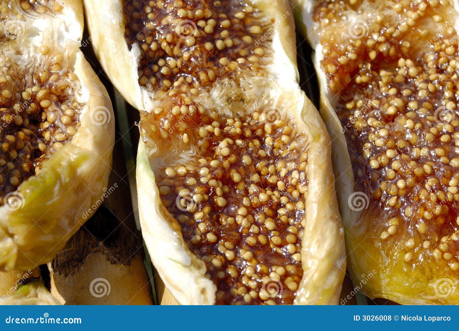 Dried Fig stock photo. Image of food, full, nature, culture - 3026008