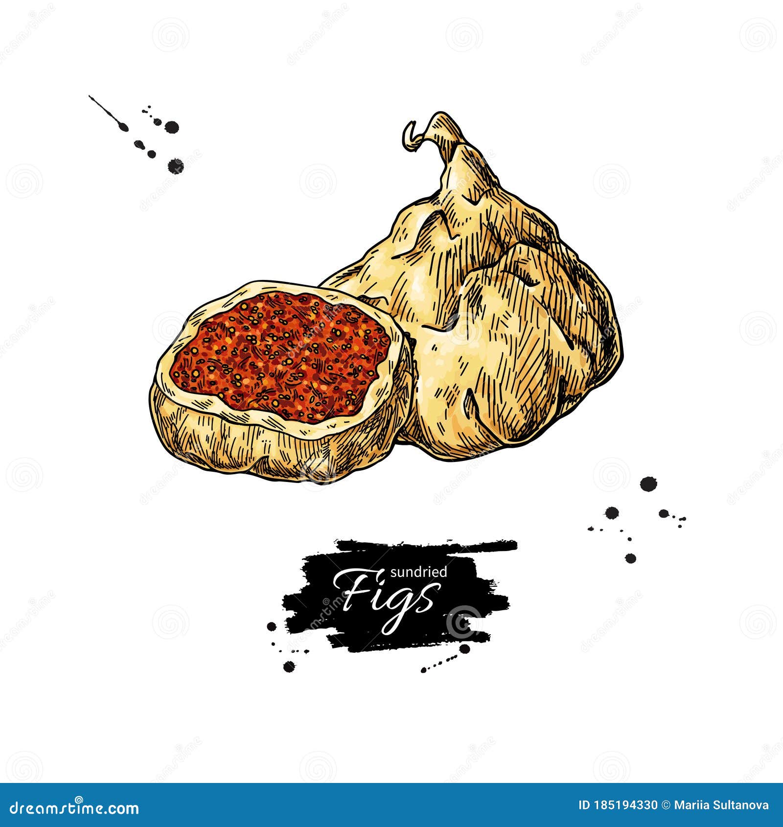 Dried Fig Vector Drawing. Hand Drawn Dehydrated Fruit Illustration ...