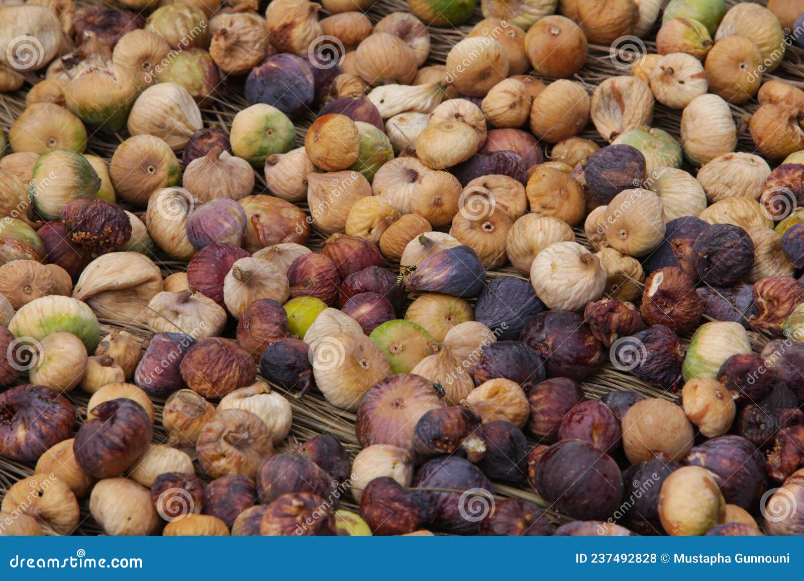 Dried Figs, Dried Soft Figs from Morocco, Taberrant. Stock Photo ...