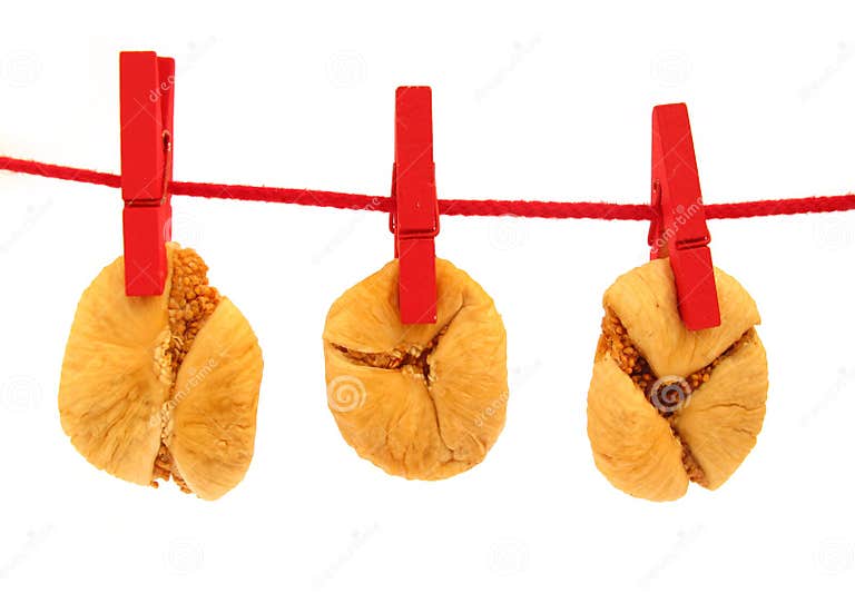 Dried Figs Drying on Washing Line Stock Photo - Image of pins, airing ...