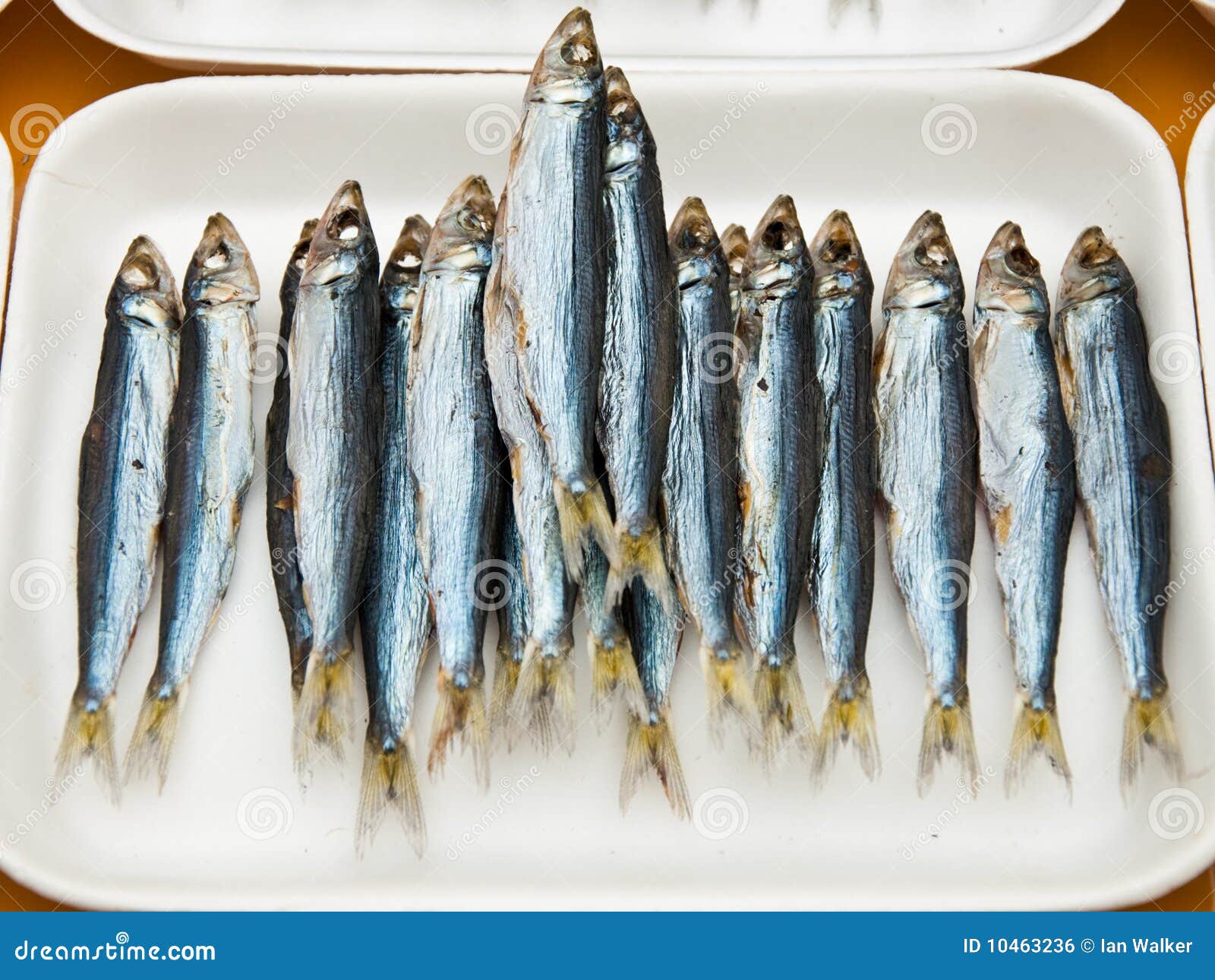 Dried Fish Royalty Free Stock Image - Image: 10463236