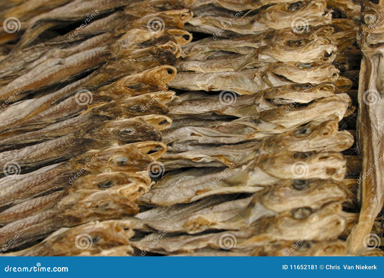 Dried Fish stock image. Image of fishy, luck, salted - 11652181