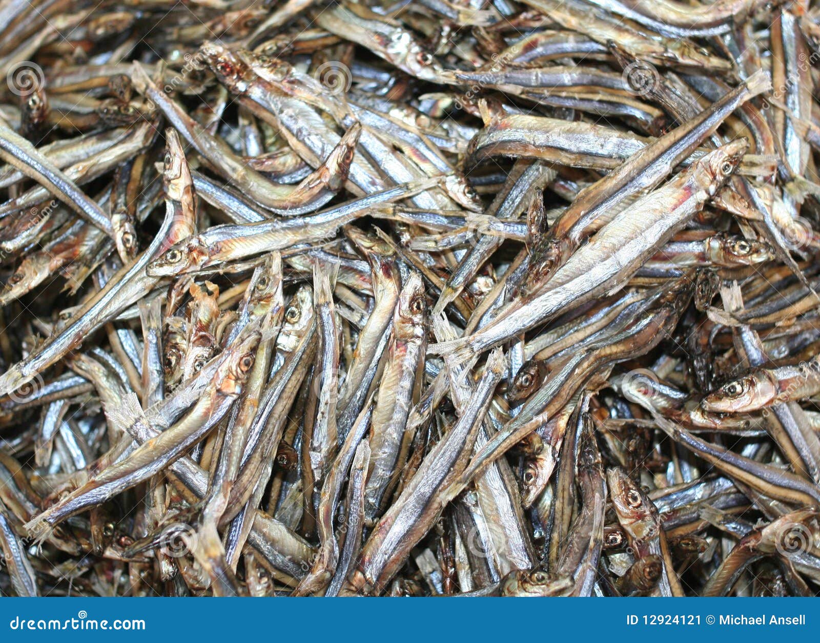 Dried Fish stock image. Image of delicacy, fish, asian - 12924121