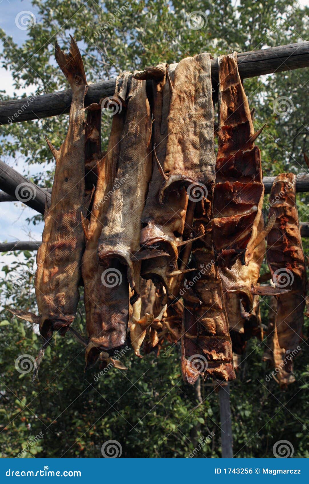 Dried fish stock photo. Image of regional, prepared, preserved - 1743256
