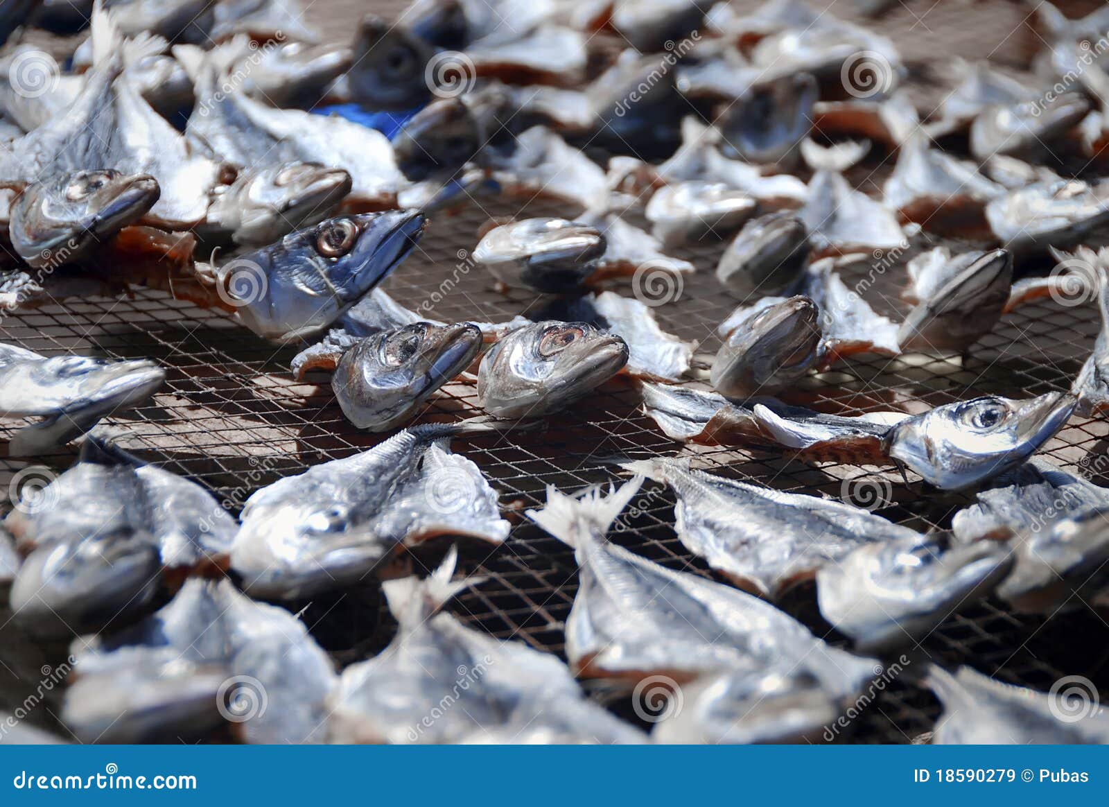 Dried fish stock image. Image of tradition, flavor, dried - 18590279